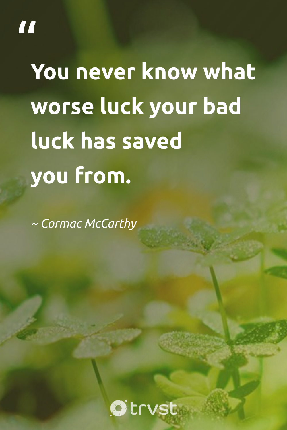 54 Luck Quotes And Sayings To Invite Life's Chances