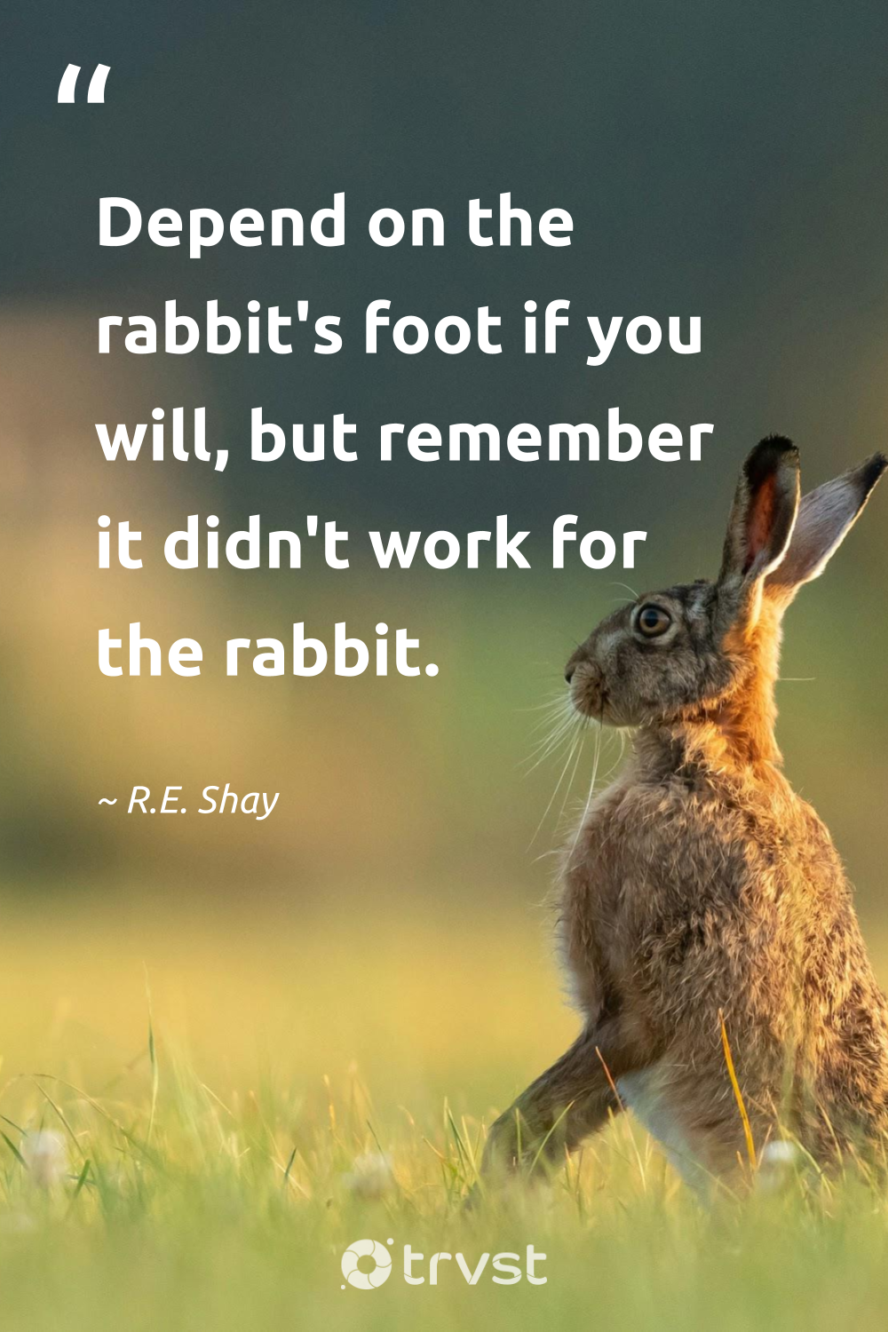 54 Luck Quotes And Sayings To Invite Life's Chances