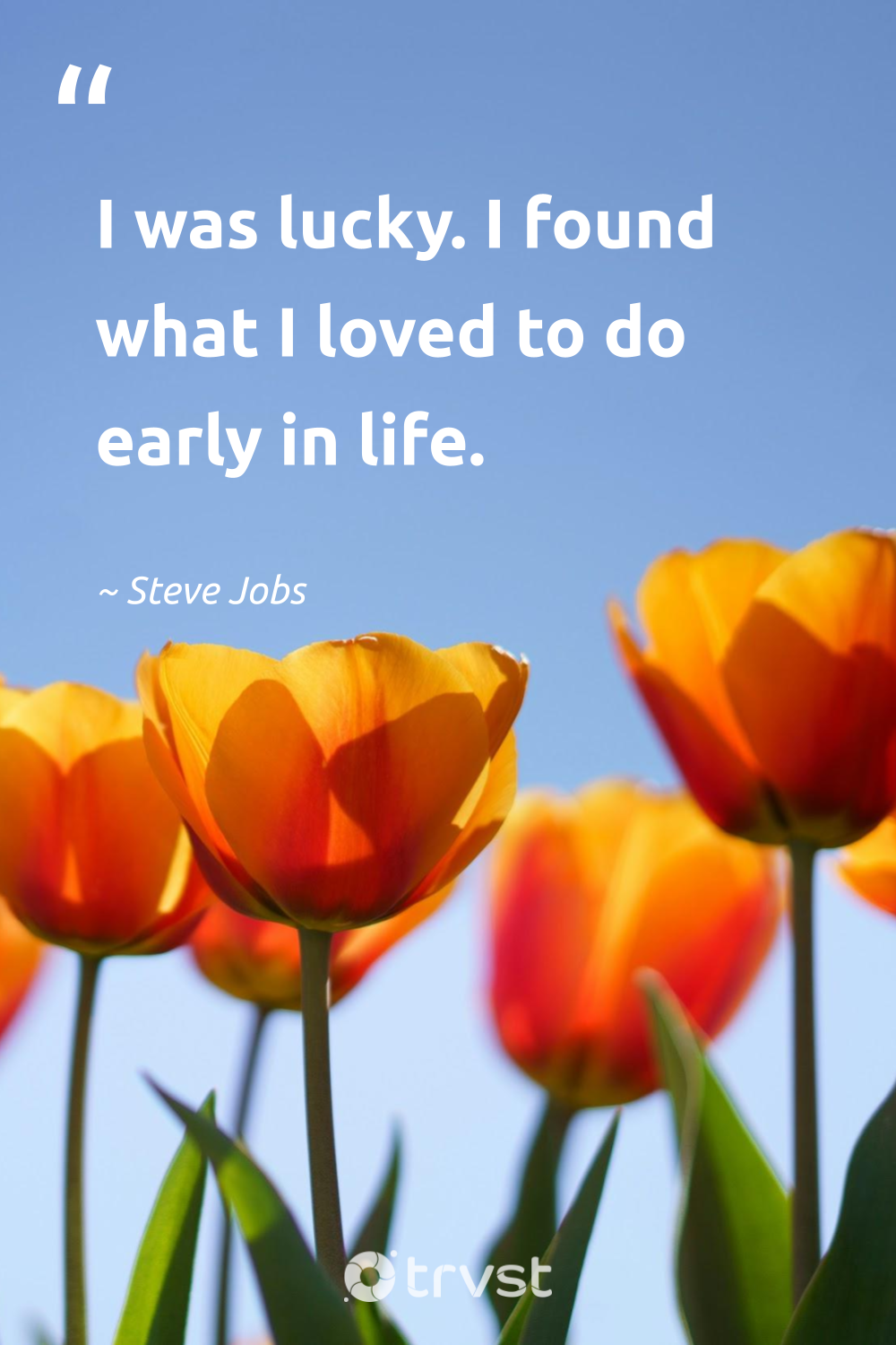 54 Luck Quotes And Sayings To Invite Life's Chances