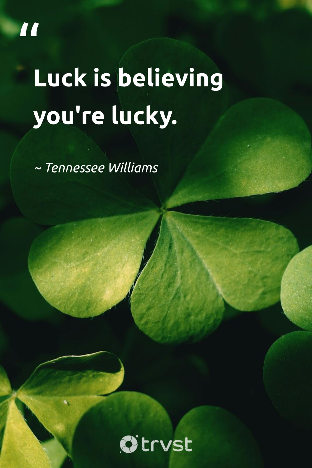54 Luck Quotes And Sayings To Invite Life's Chances