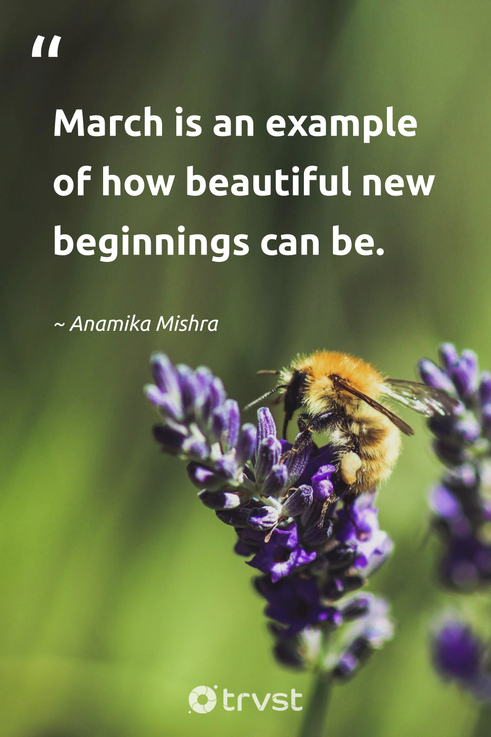 50 March Quotes and Sayings to Welcome the Warmer Weather