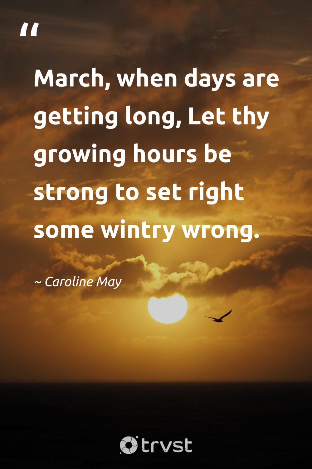 50 March Quotes and Sayings to Welcome the Warmer Weather