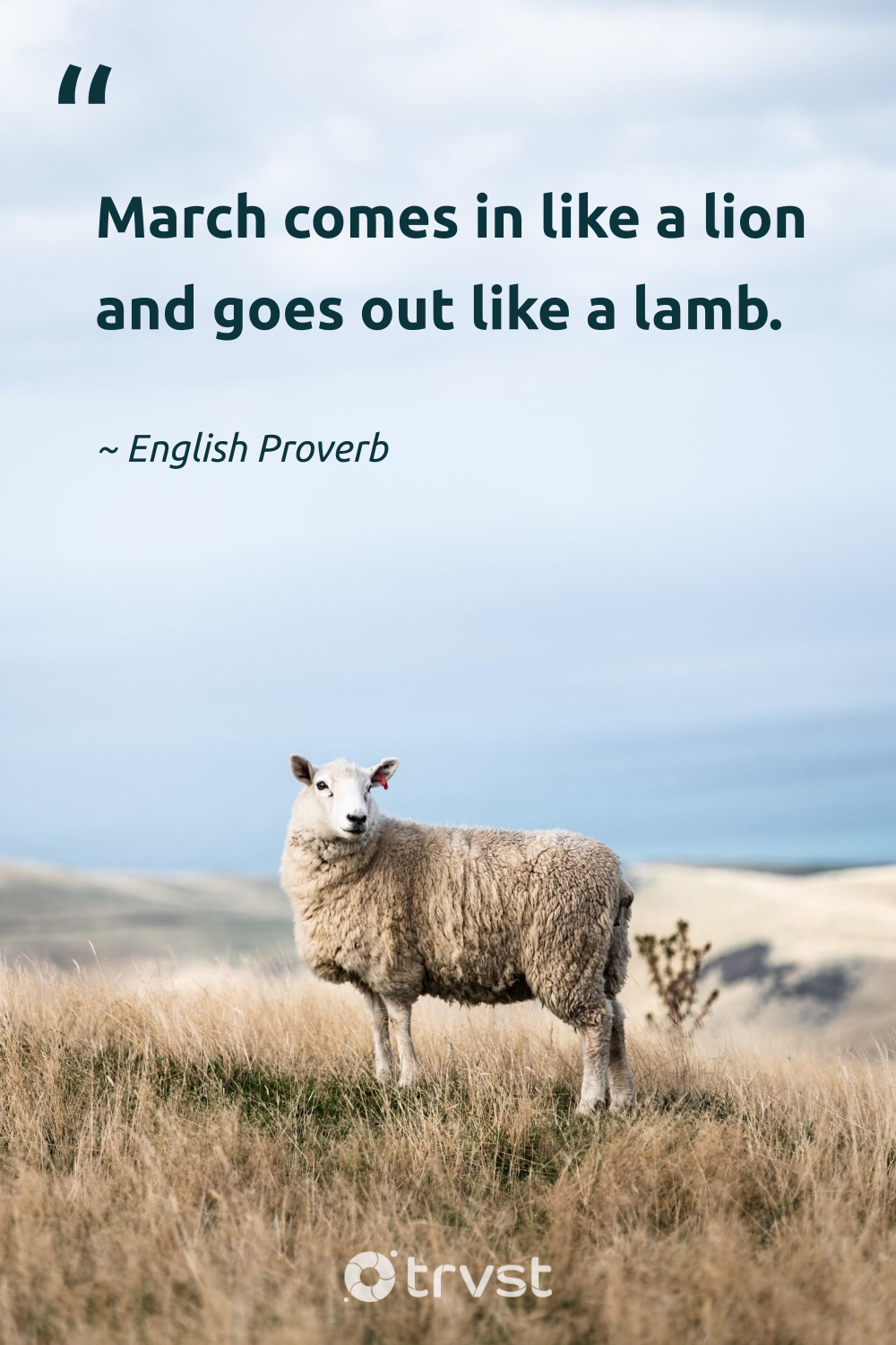 50 March Quotes and Sayings to Welcome the Warmer Weather