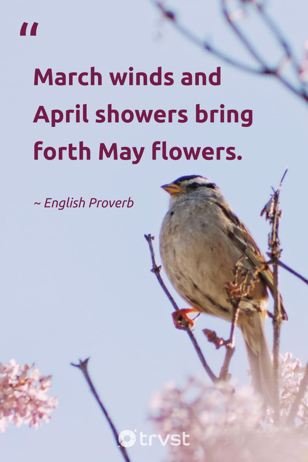 50 March Quotes and Sayings to Welcome the Warmer Weather