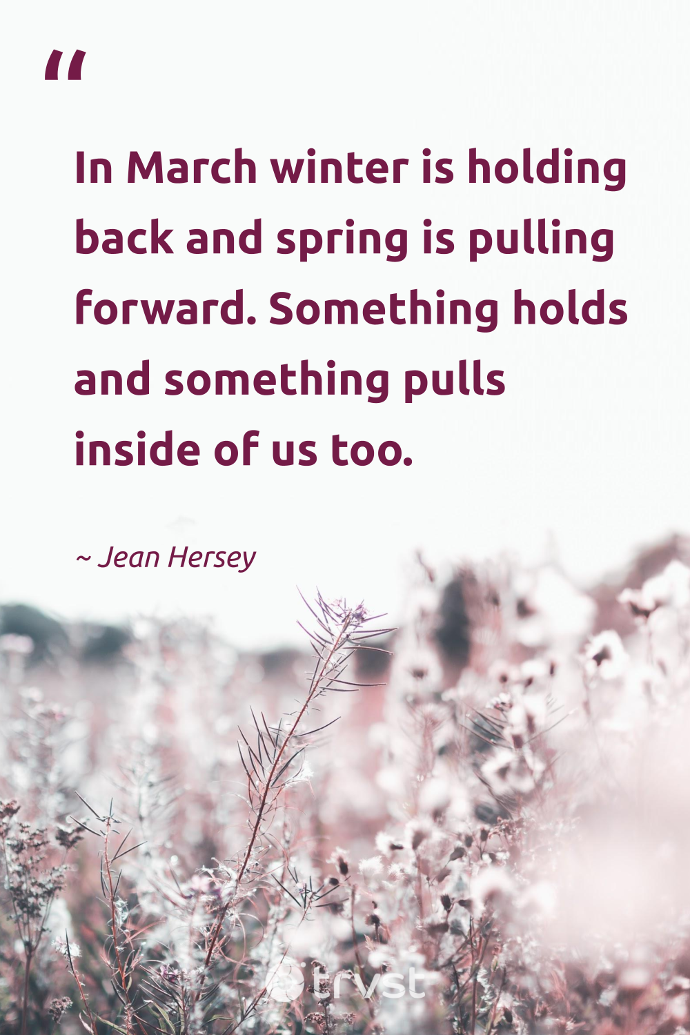 50 March Quotes and Sayings to Welcome the Warmer Weather