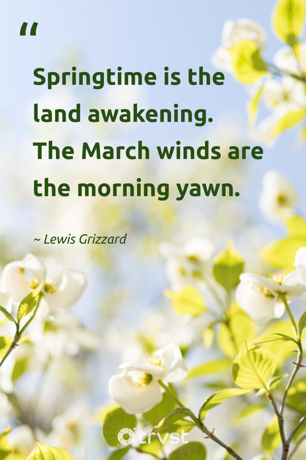 50 March Quotes and Sayings to Welcome the Warmer Weather
