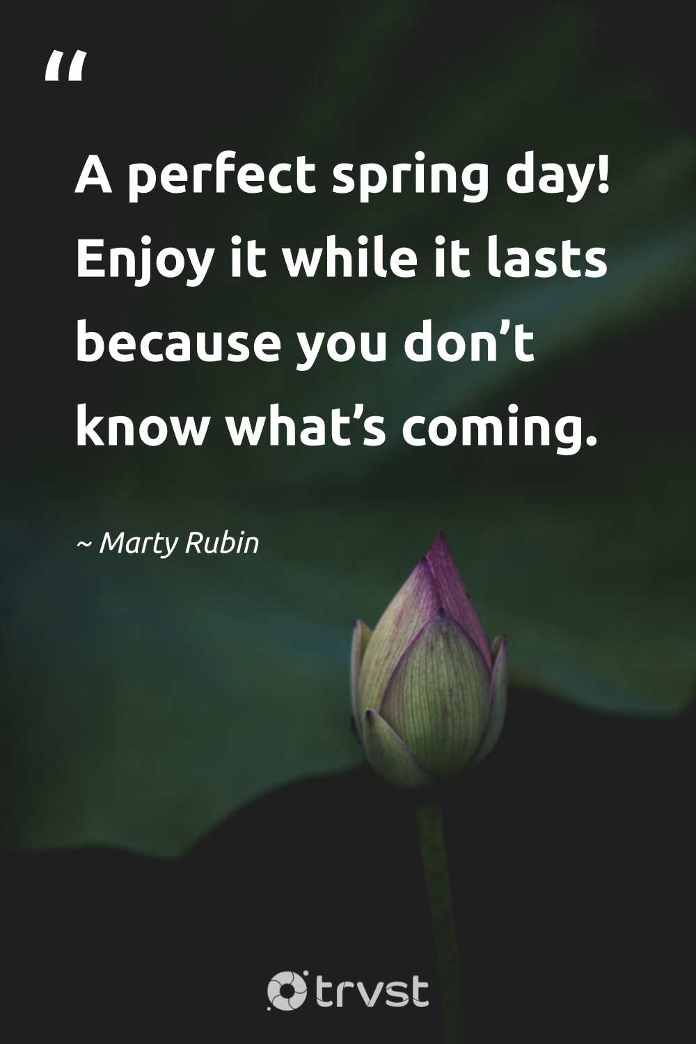 50 March Quotes and Sayings to Welcome the Warmer Weather