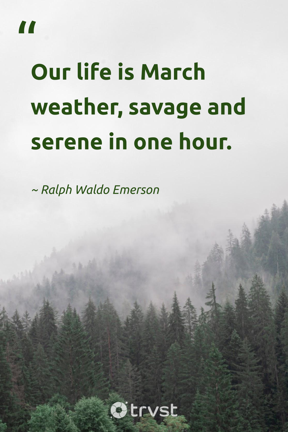 50 March Quotes and Sayings to Welcome the Warmer Weather