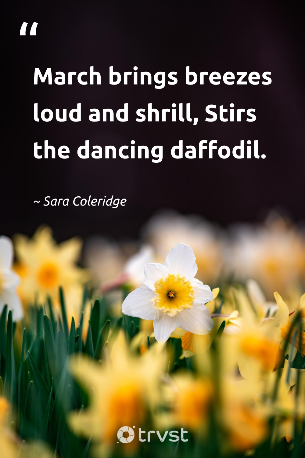 50 March Quotes and Sayings to Welcome the Warmer Weather