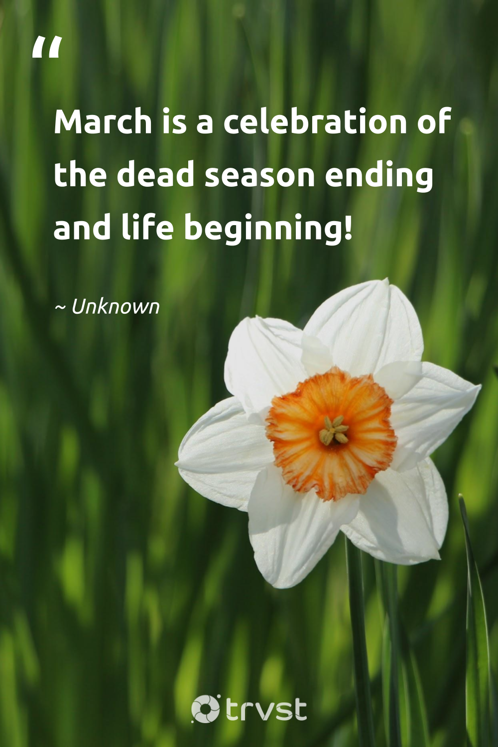 50 March Quotes and Sayings to Welcome the Warmer Weather