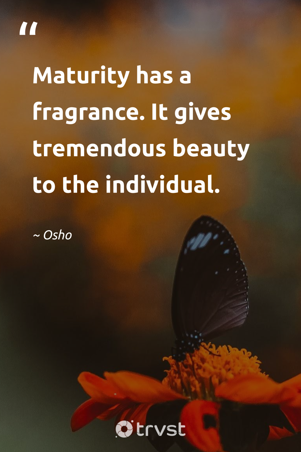 52 Maturity Quotes About Evolving And Personal Growth (2024)