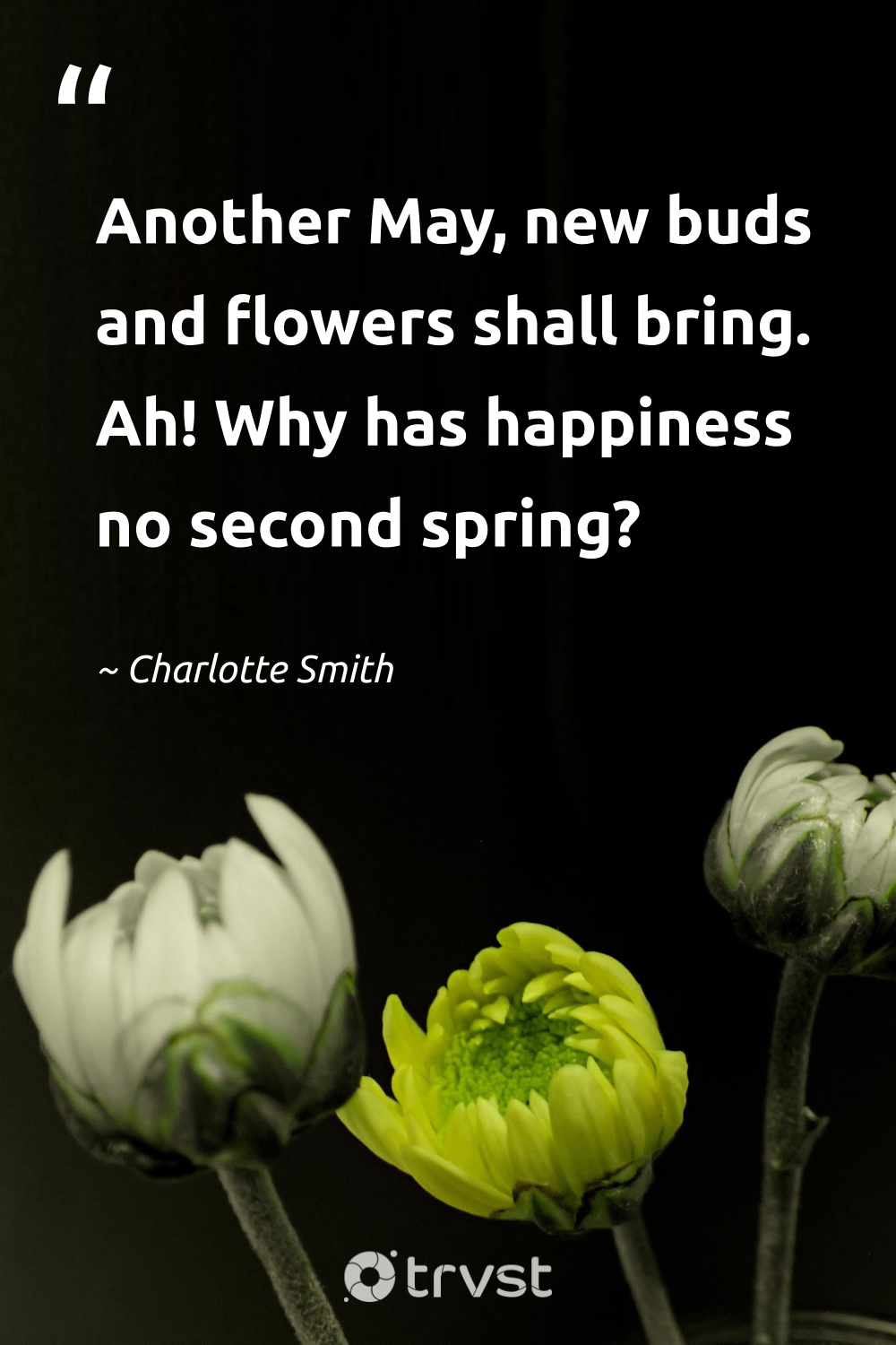 40 May Quotes and Sayings to Savor the Last Moments of Spring (2025)