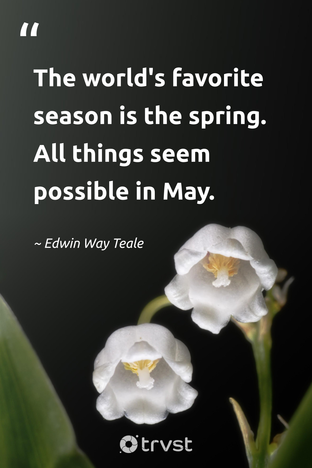 40 May Quotes and Sayings to Savor the Last Moments of Spring (2025)