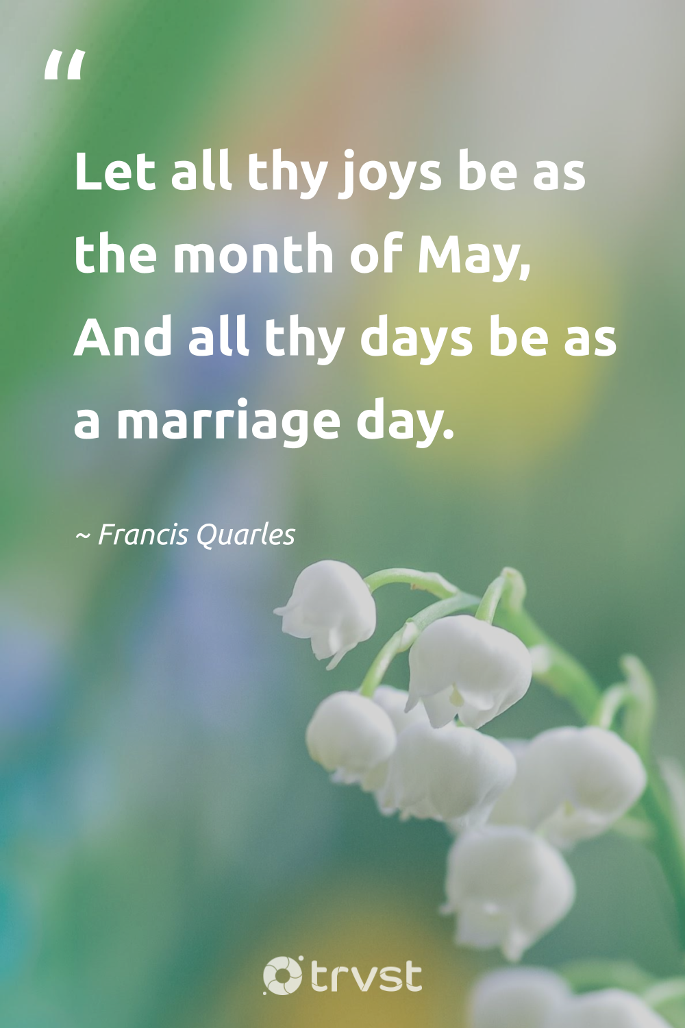 40 May Quotes and Sayings to Savor the Last Moments of Spring (2025)
