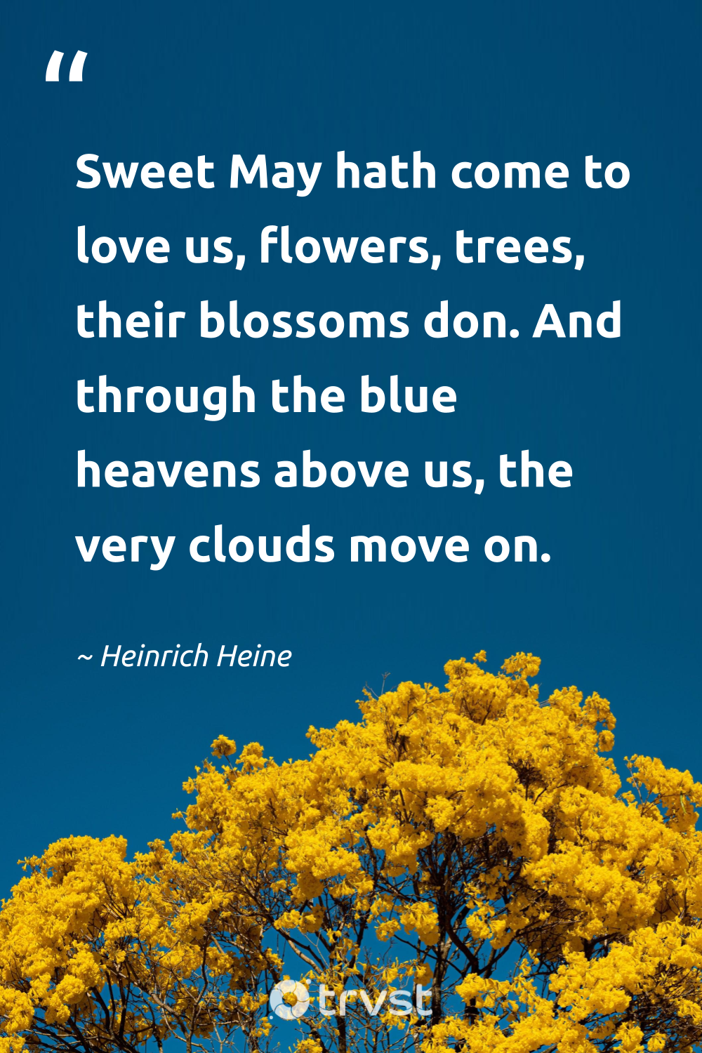 40 May Quotes and Sayings to Savor the Last Moments of Spring (2025)