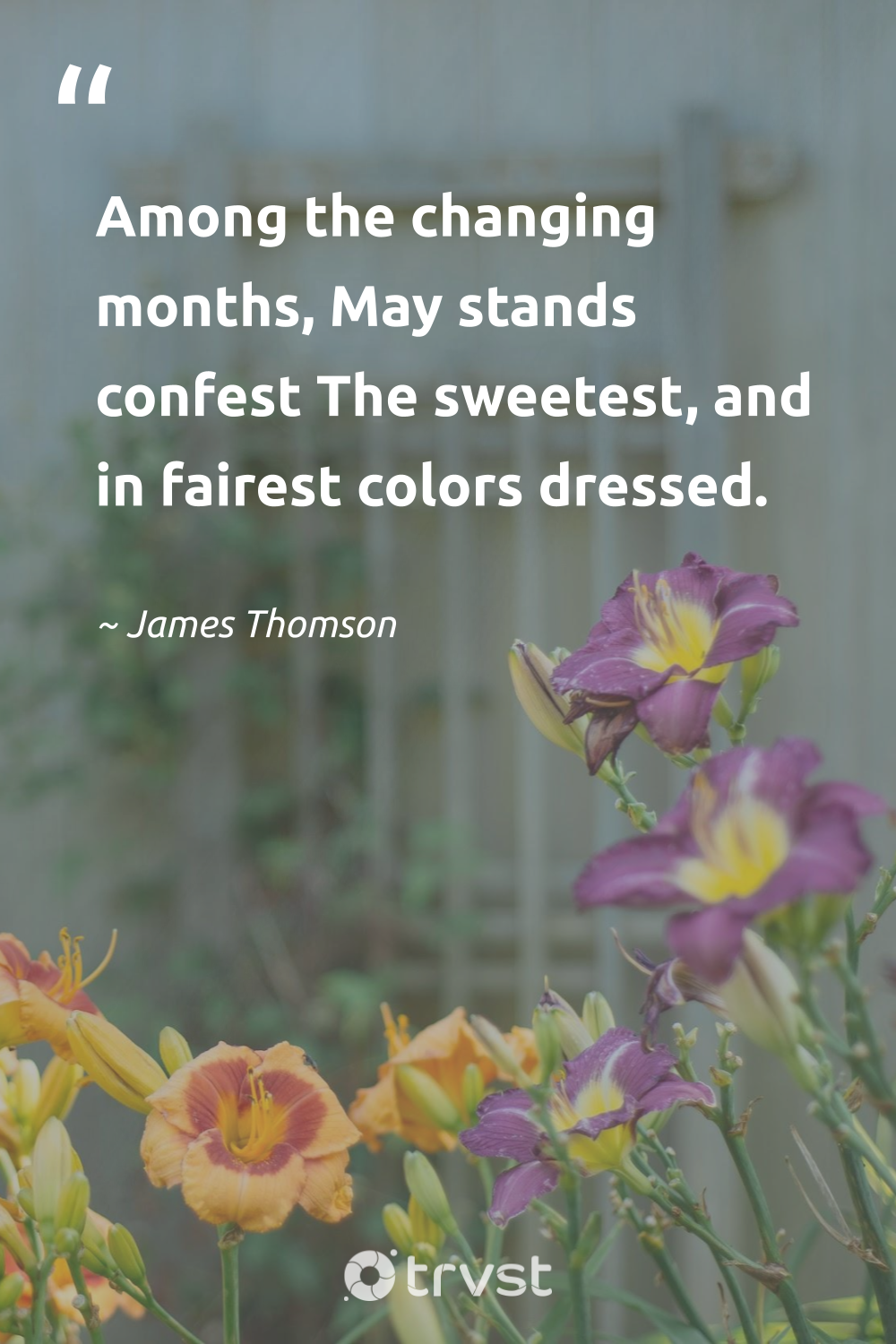 40 May Quotes and Sayings to Savor the Last Moments of Spring (2025)