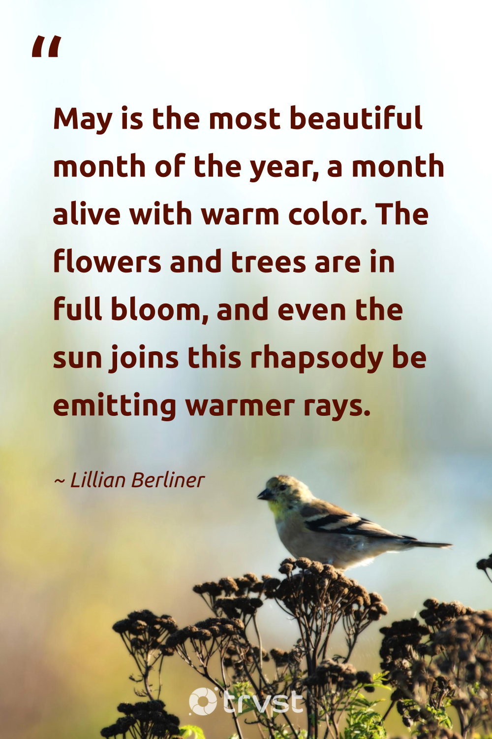 40 May Quotes and Sayings to Savor the Last Moments of Spring (2025)