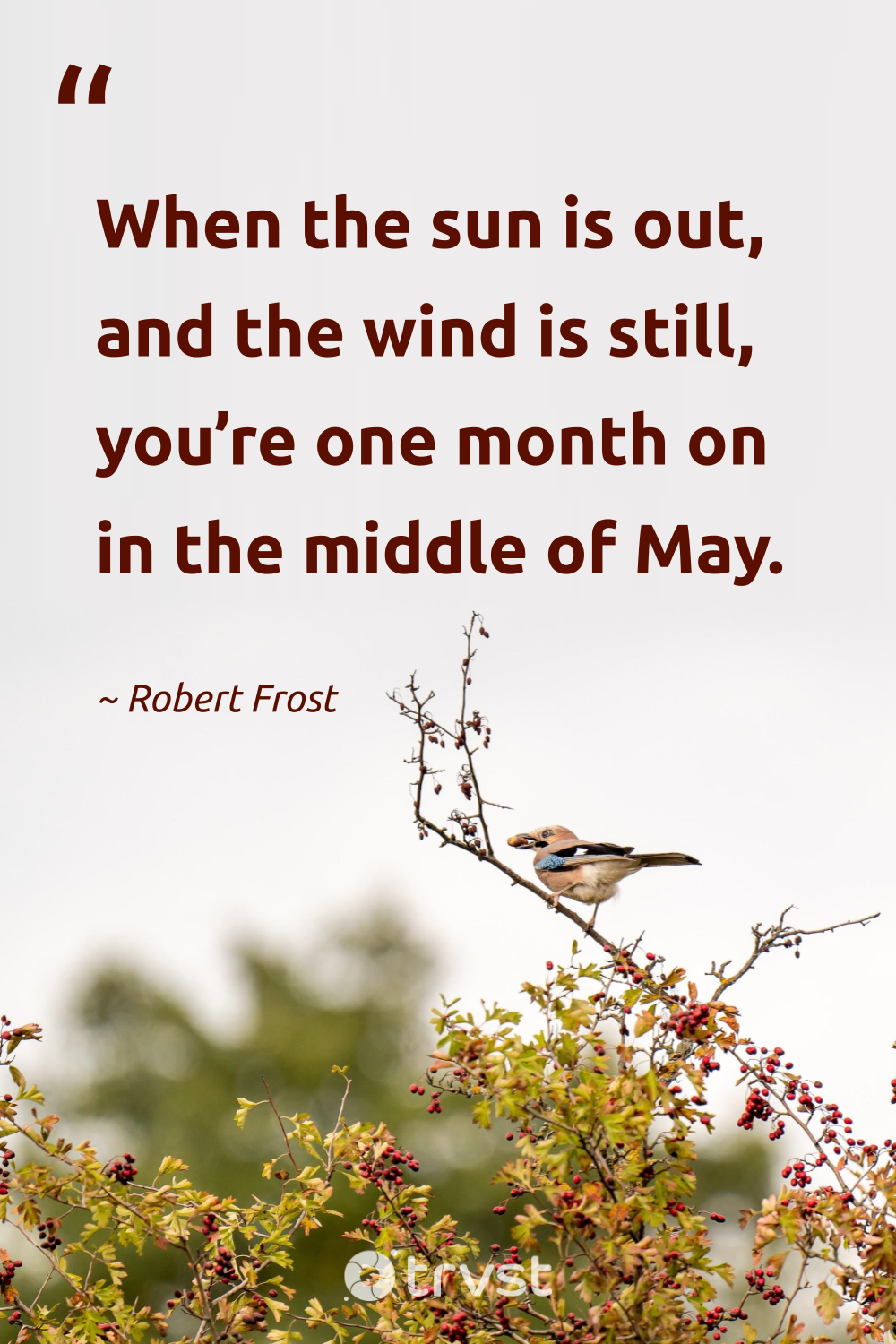 40 May Quotes and Sayings to Savor the Last Moments of Spring (2025)
