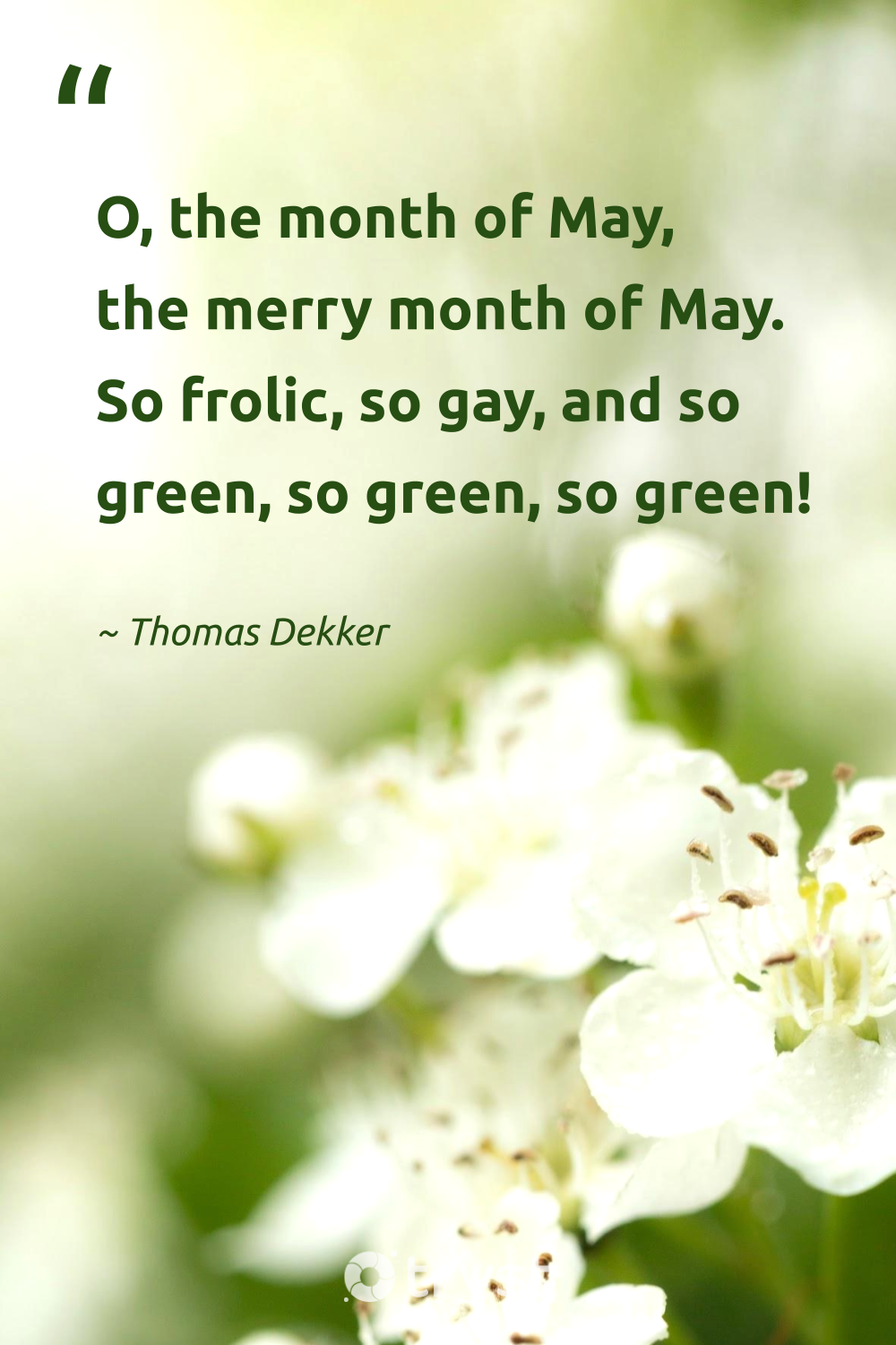 40 May Quotes and Sayings to Savor the Last Moments of Spring (2025)