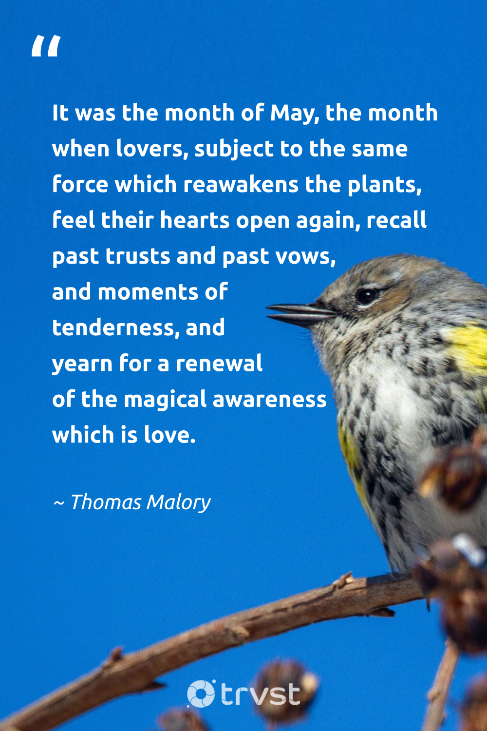 40 May Quotes and Sayings to Savor the Last Moments of Spring (2025)