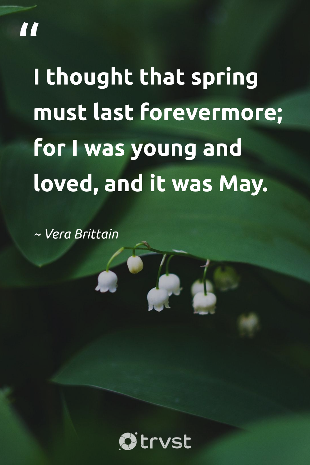 40 May Quotes and Sayings to Savor the Last Moments of Spring (2025)