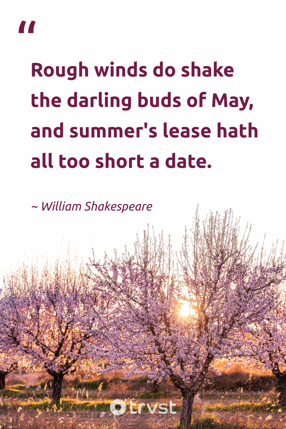 40 May Quotes and Sayings to Savor the Last Moments of Spring (2025)