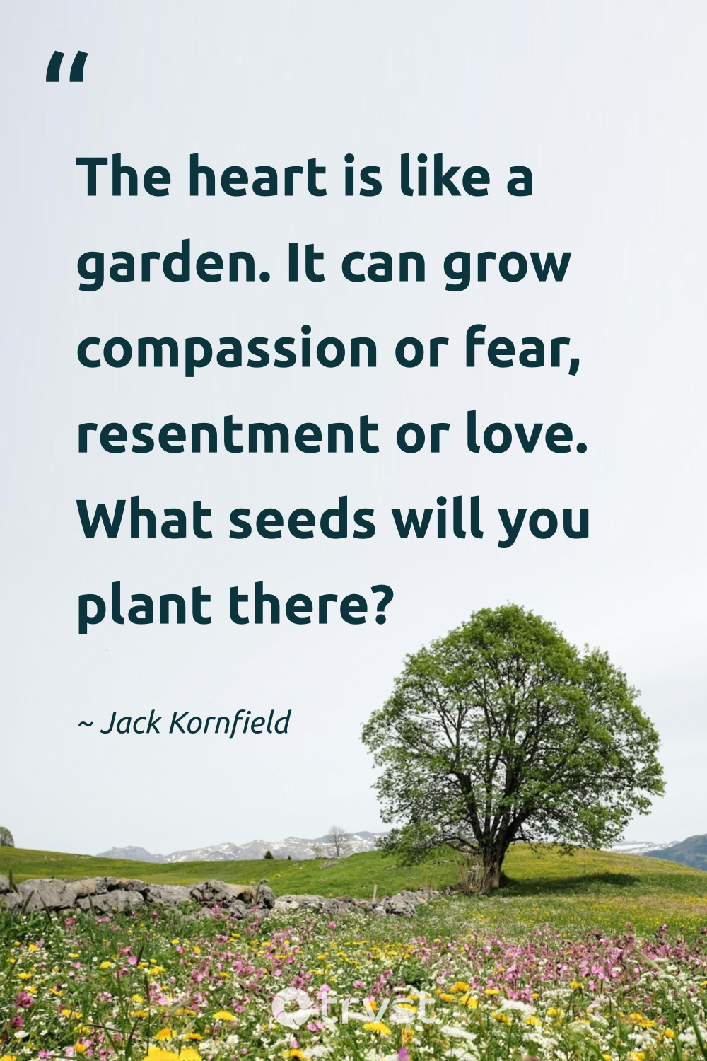 80 Mindfulness Quotes To Help You Be In The Moment