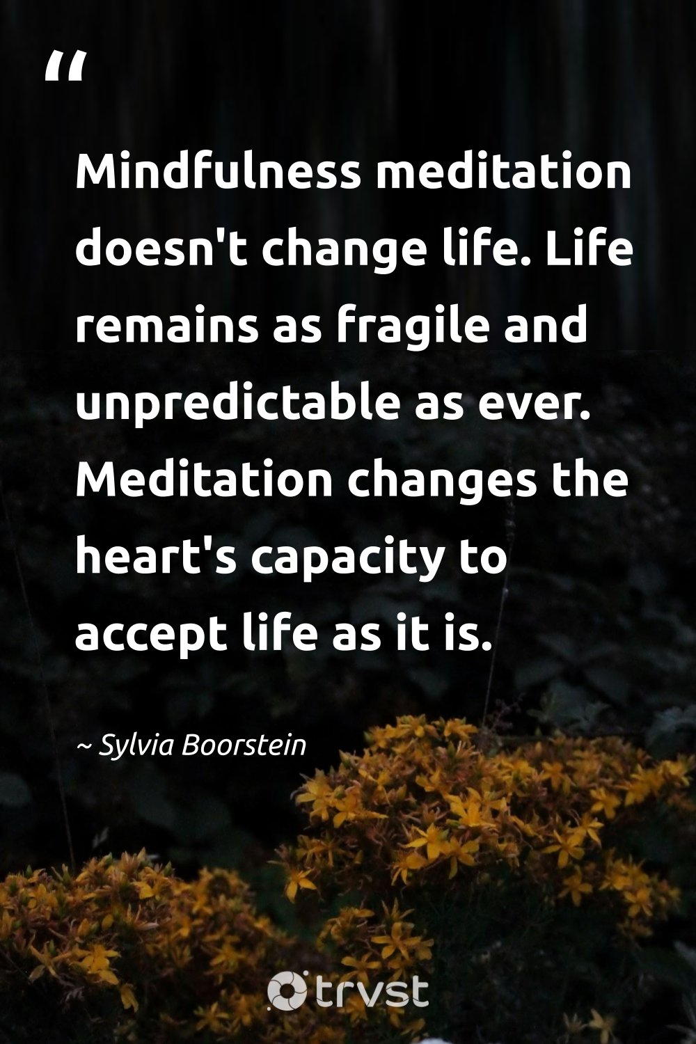 80 Mindfulness Quotes To Help You Be In The Moment