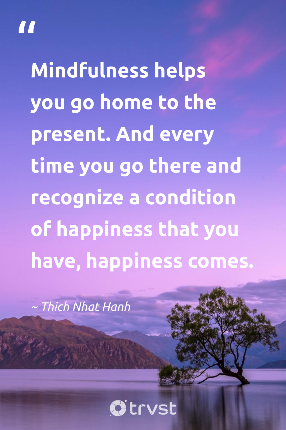 80 Mindfulness Quotes To Help You Be In The Moment