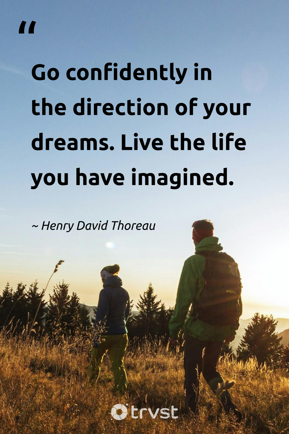 65 Mindset Quotes Inspiring Positivity And Success