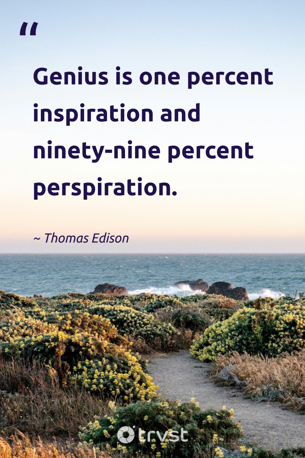 65 Mindset Quotes Inspiring Positivity And Success