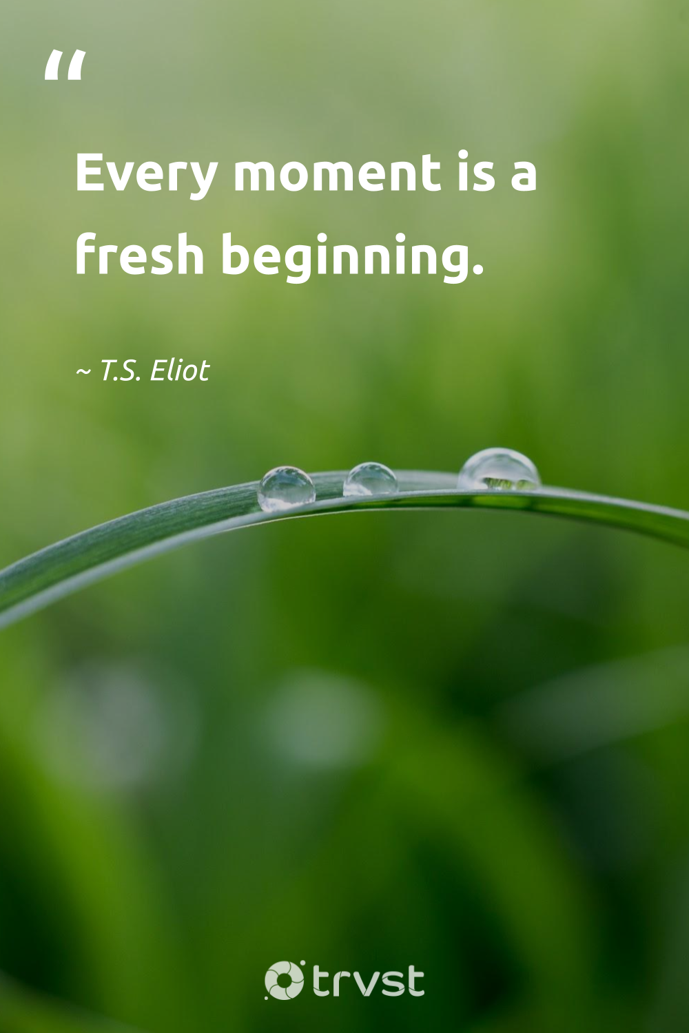62 New Beginning Quotes To Embrace Fresh Starts