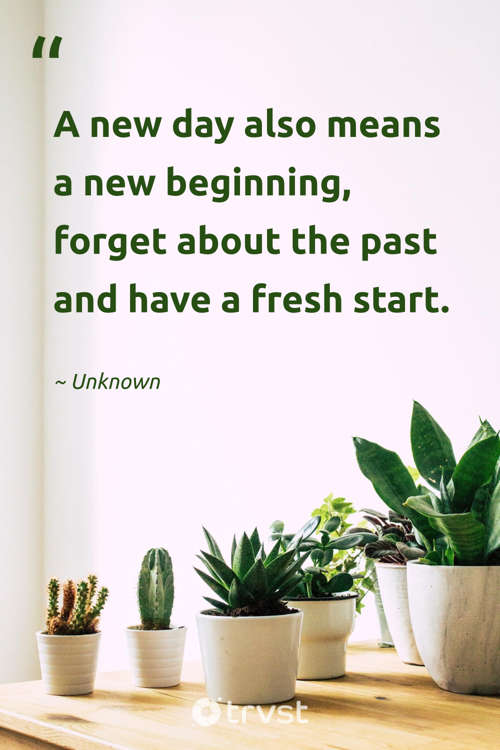 57 New Day Quotes to Treat Each Day as an Opportunity (2025)