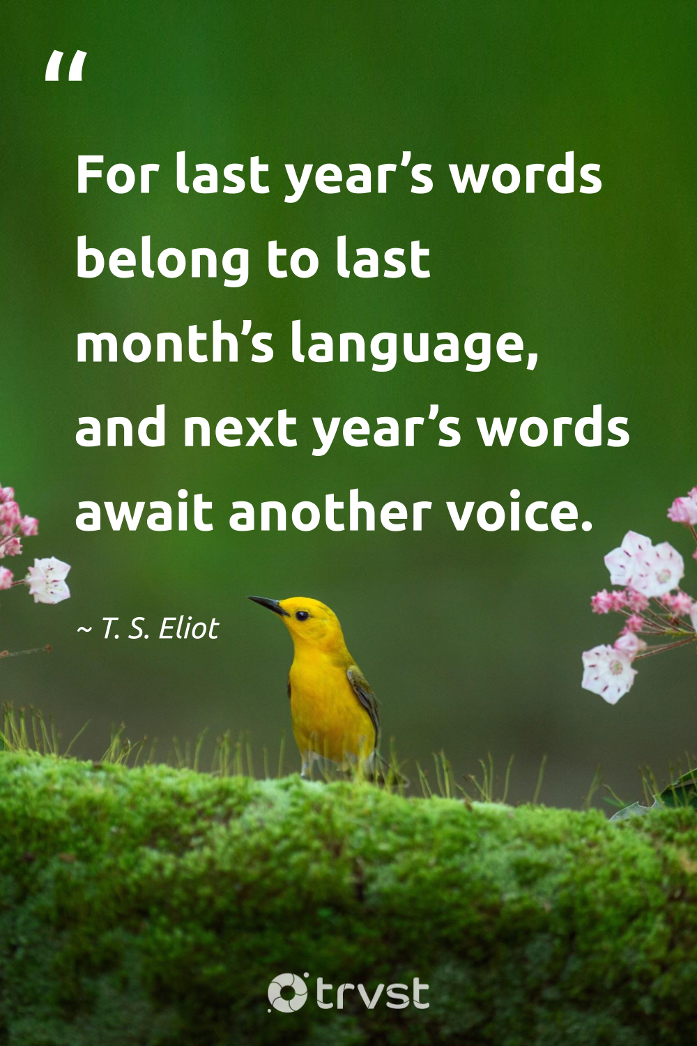 67 New Month Quotes To Encourage a Fresh Start (2025)