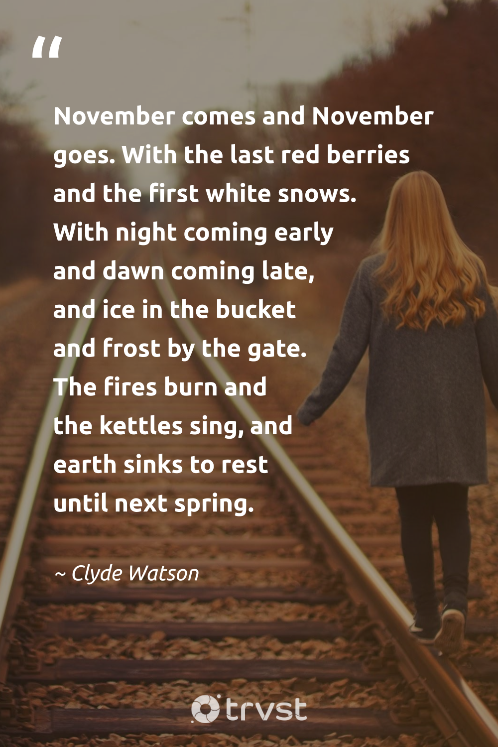 43 November Quotes and Sayings to Start the Holiday Season