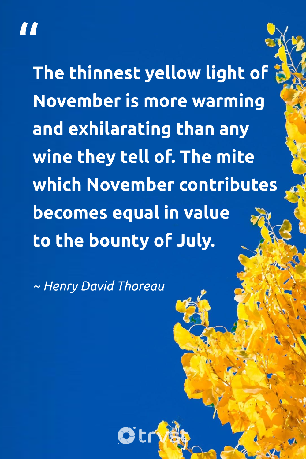 43 November Quotes and Sayings to Start the Holiday Season