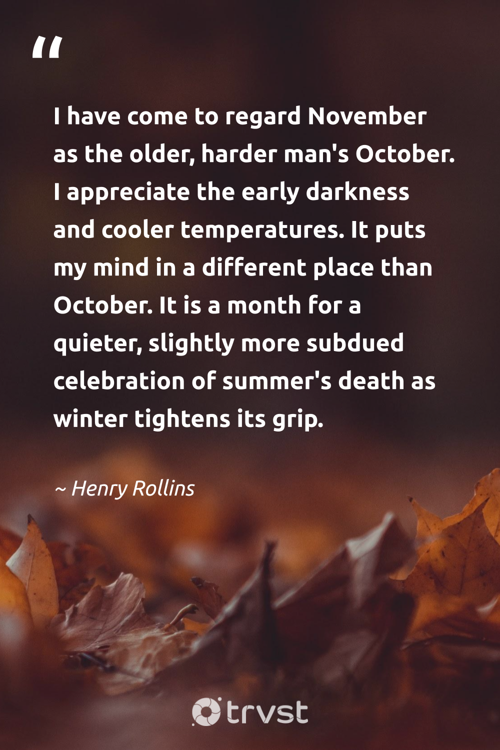 43 November Quotes and Sayings to Start the Holiday Season