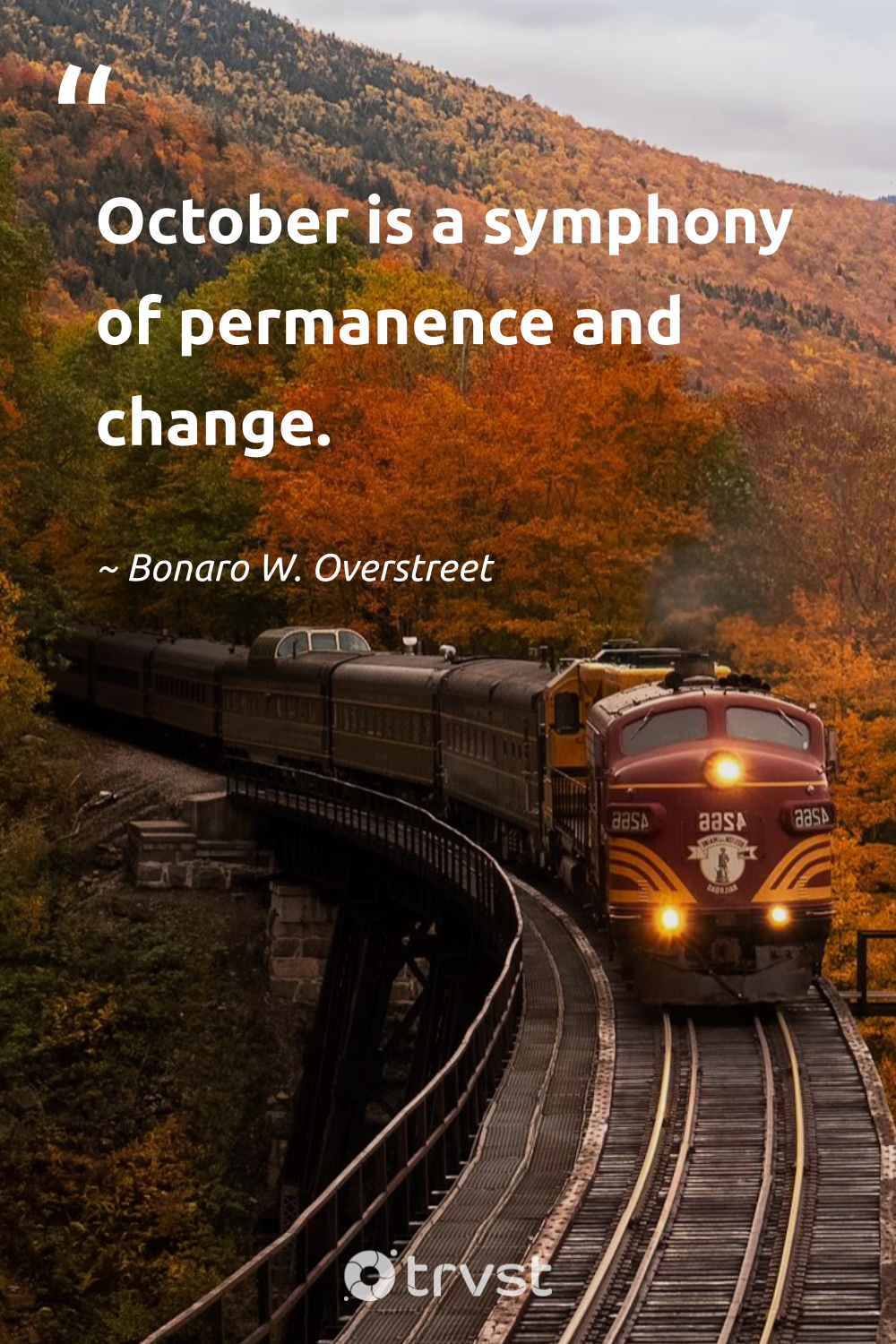 48 October Quotes to Fall In Love With This Autumn