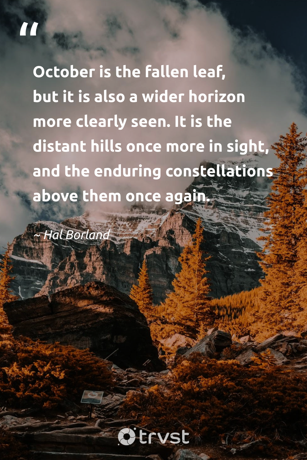 48 October Quotes to Fall In Love With This Autumn