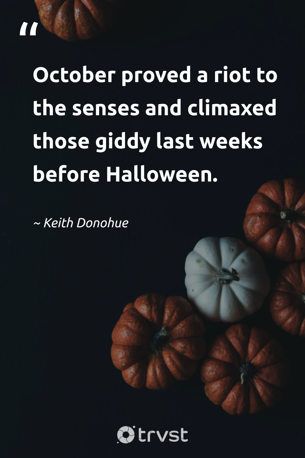 48 October Quotes to Fall In Love With This Autumn