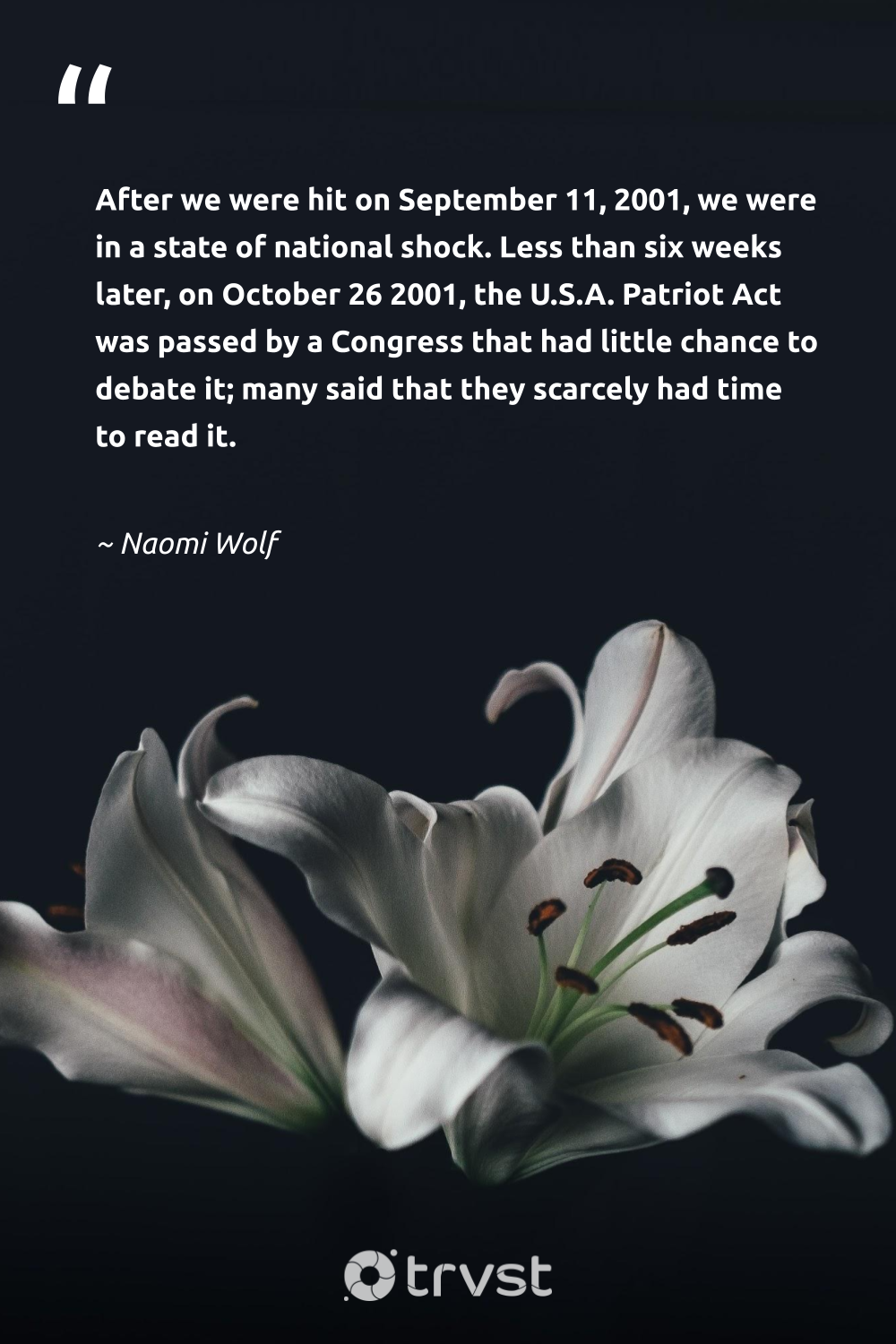 48 October Quotes to Fall In Love With This Autumn