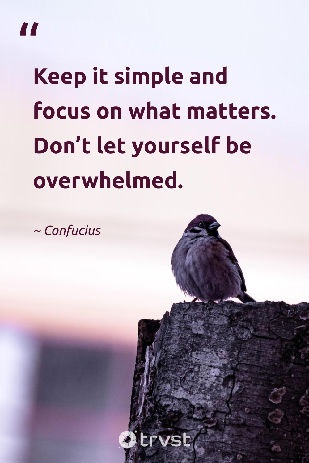 53 Overwhelmed Quotes to Stay Calm and to Relieve Stress (2024)