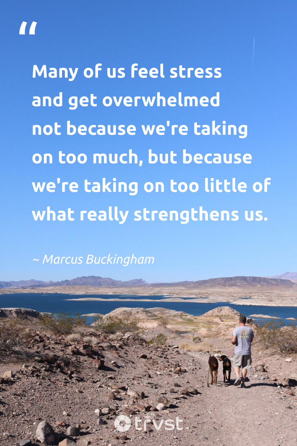 53 Overwhelmed Quotes to Stay Calm and to Relieve Stress (2025)