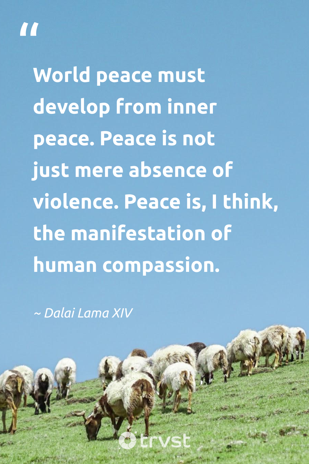 38 Peace Of Mind Quotes And Sayings Inspiring Tranquility (2024)