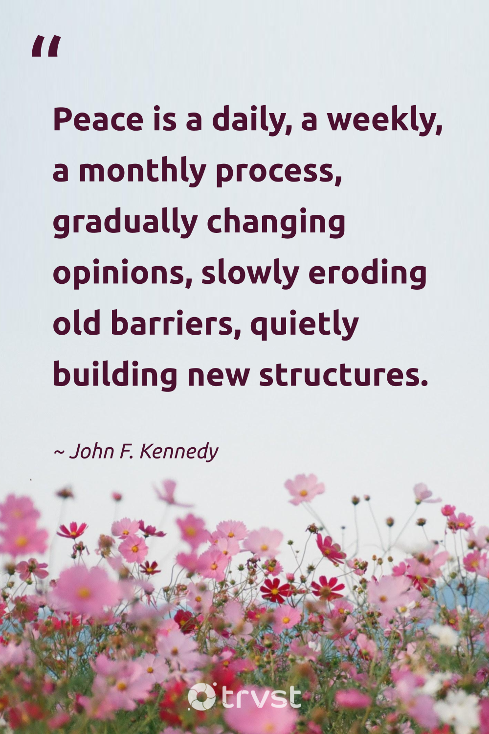 38 Peace Of Mind Quotes And Sayings Inspiring Tranquility (2024)