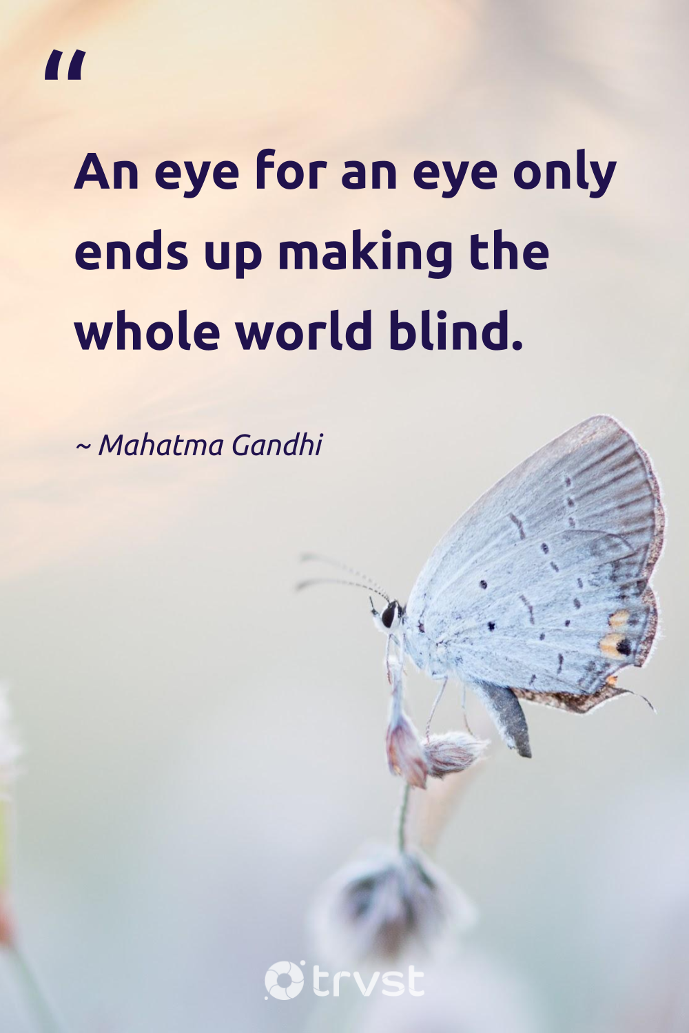 38 Peace Of Mind Quotes And Sayings Inspiring Tranquility (2024)