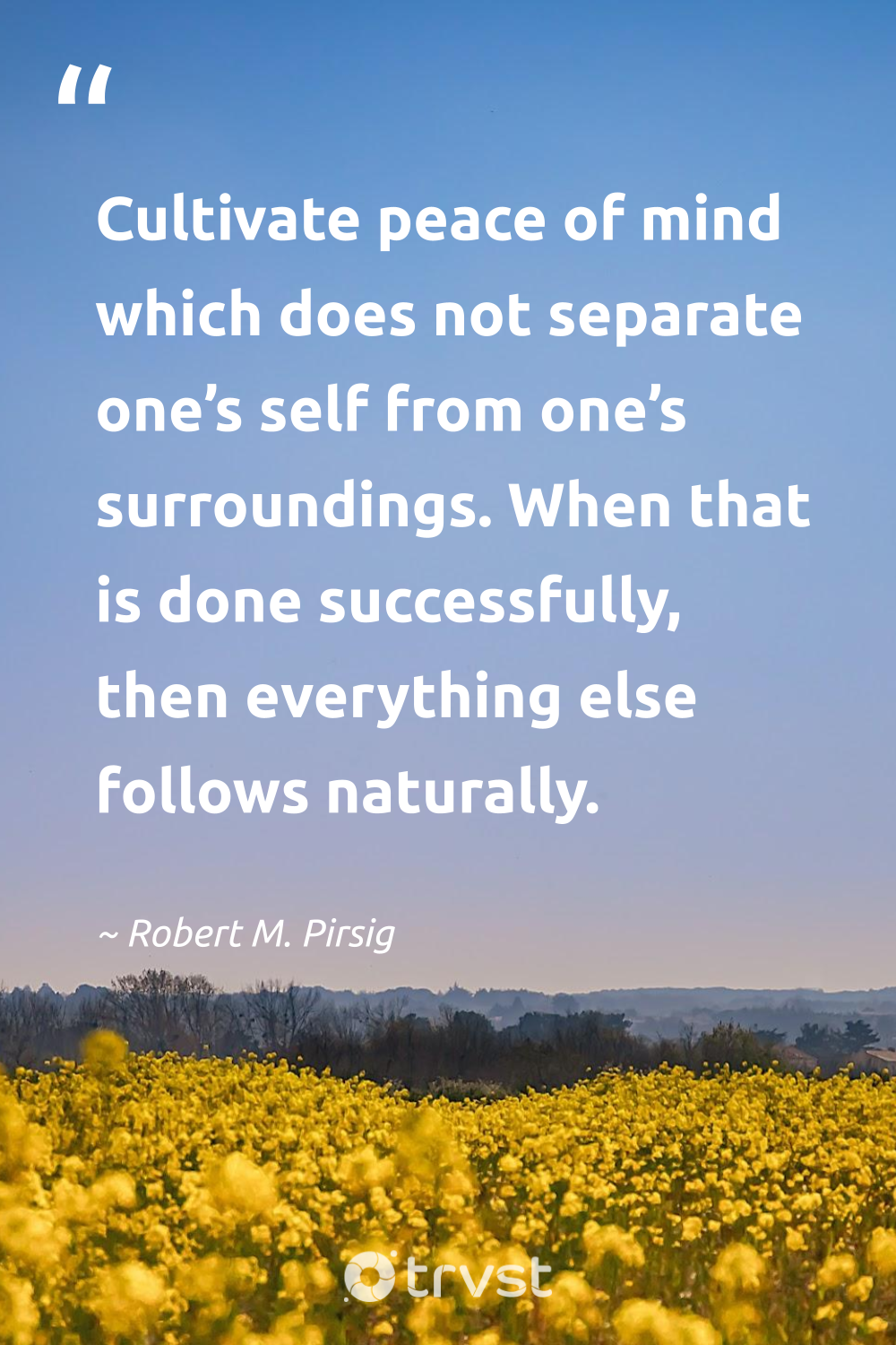 38 Peace Of Mind Quotes And Sayings Inspiring Tranquility (2025)