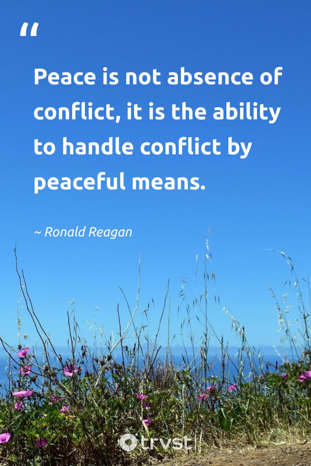 38 Peace Of Mind Quotes And Sayings Inspiring Tranquility (2024)