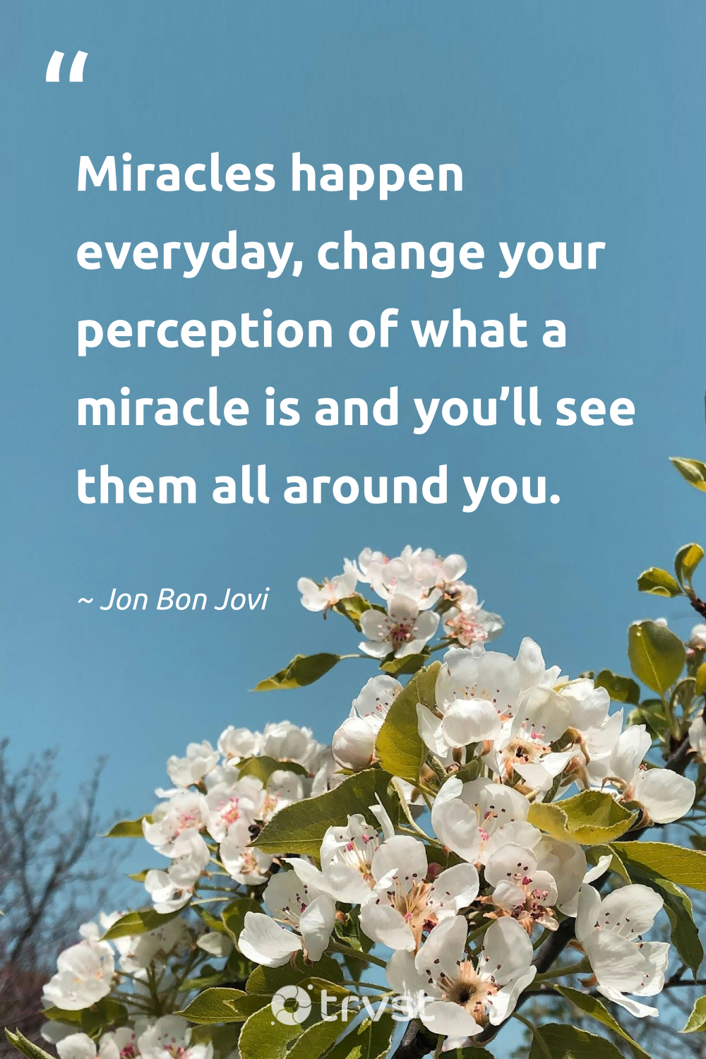 30 Perception Quotes Giving New Interpretations