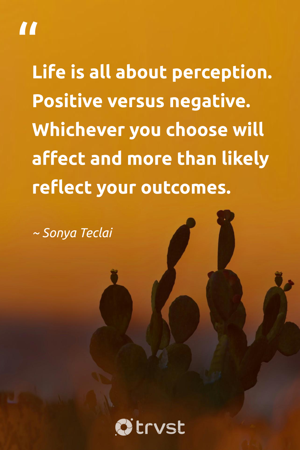 30 Perception Quotes Giving New Interpretations